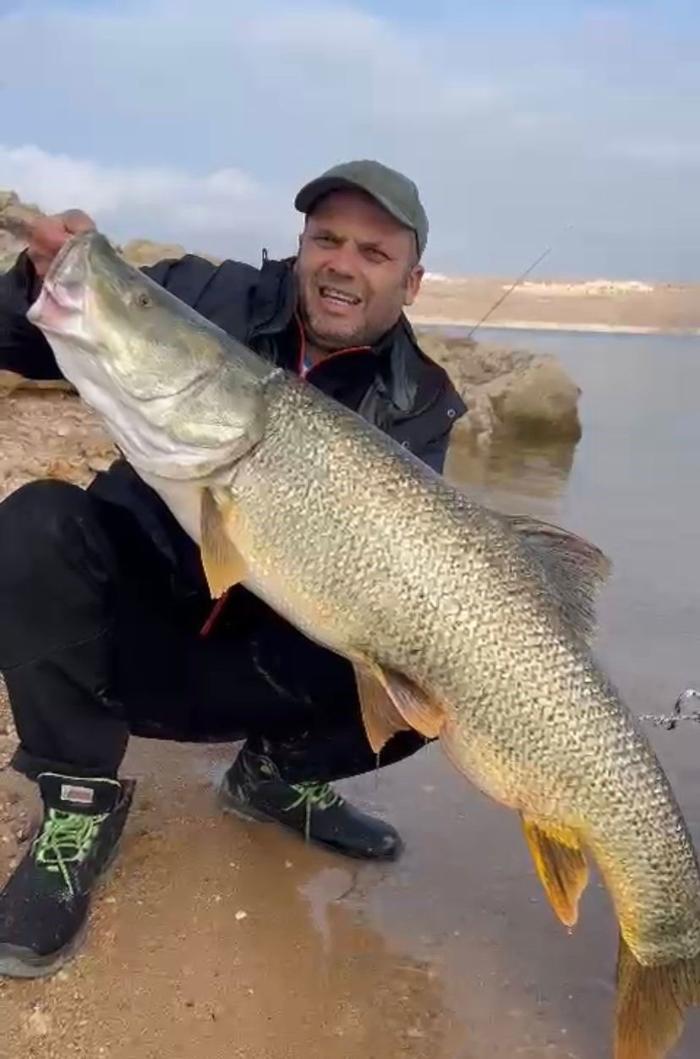 Keban Baraj Gölünde ağa takılan turna: tam 28 yaşında